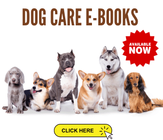 Wild Life Vlogs • The Animal Kingdom